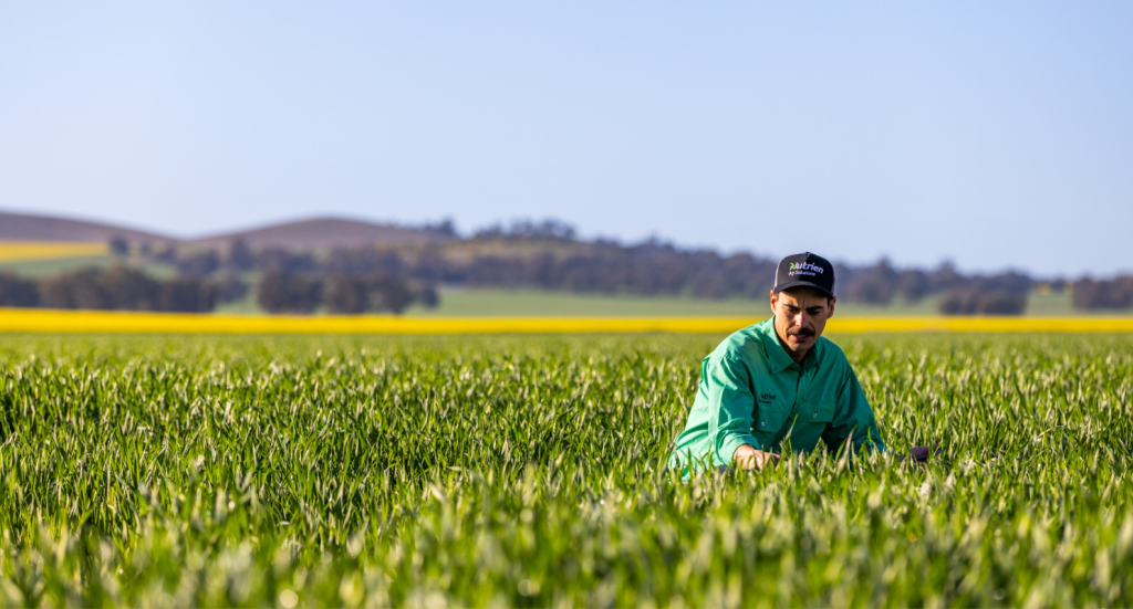 Explore Full Career Autonomy as a Nutrien Ag Agronomist! | Explore ...