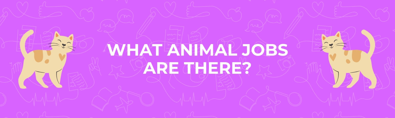 Love Cute Critters? Check Out These Animal Jobs! | Explore Careers ...