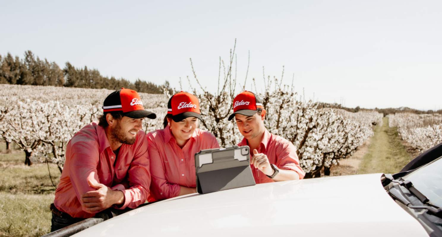 Cultivating Your Future: The Benefits of Work Experience | Explore ...